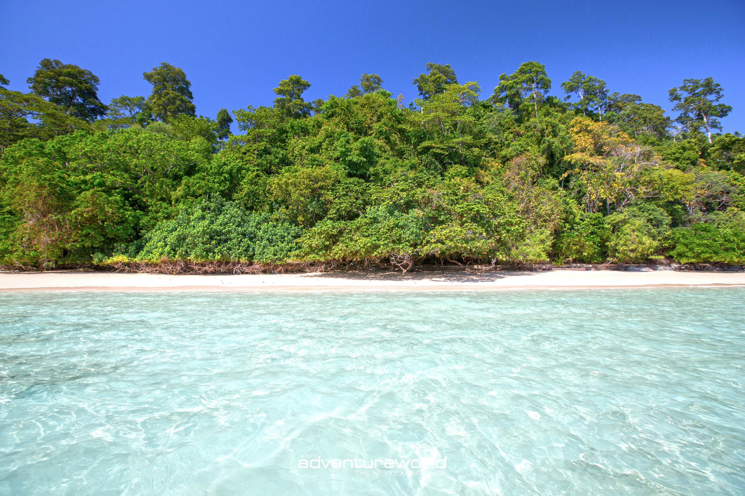 Koh Rok & Koh Haa Private Tour | Siam Adventure World