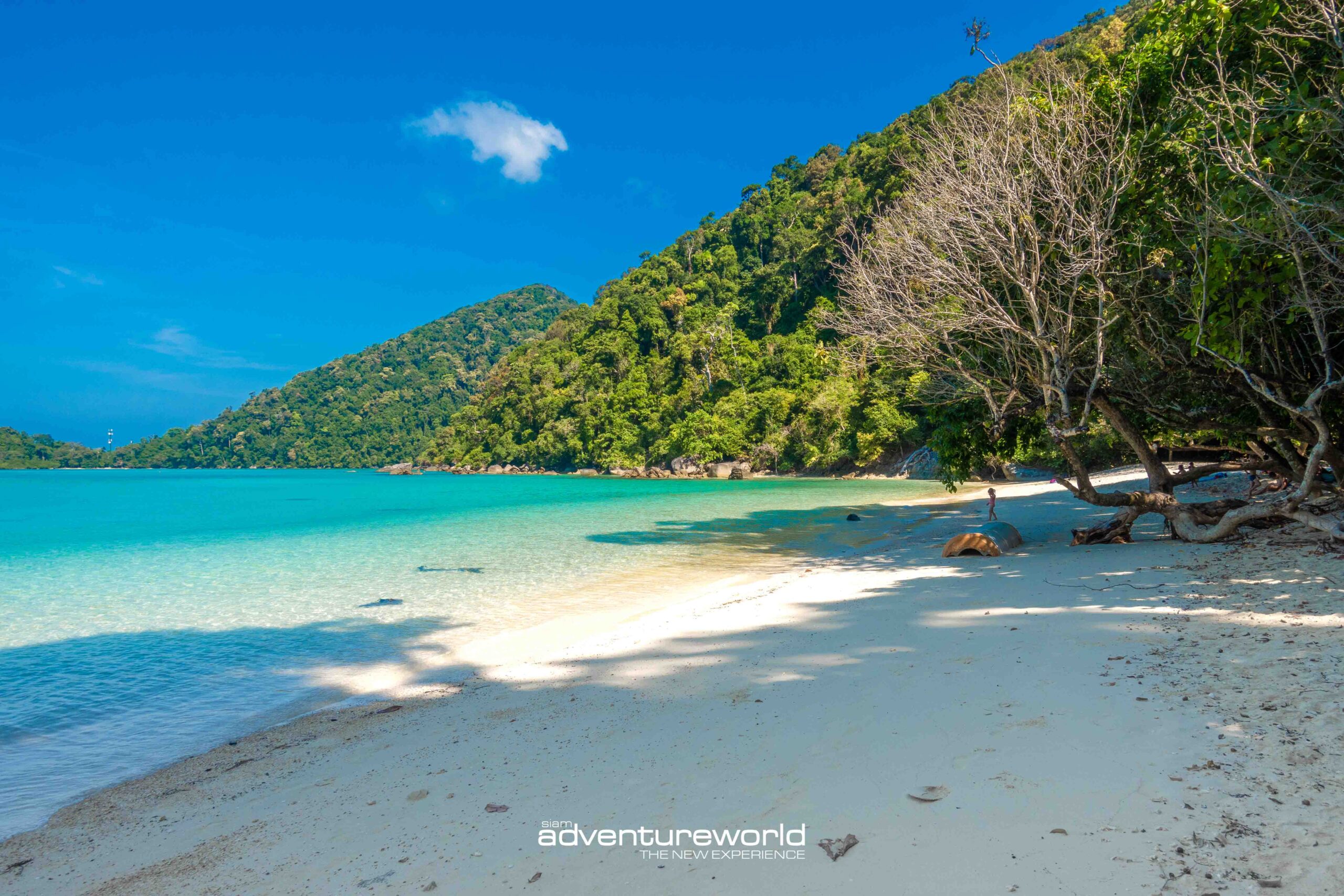 Surin Island Tour | Siam Adventure World