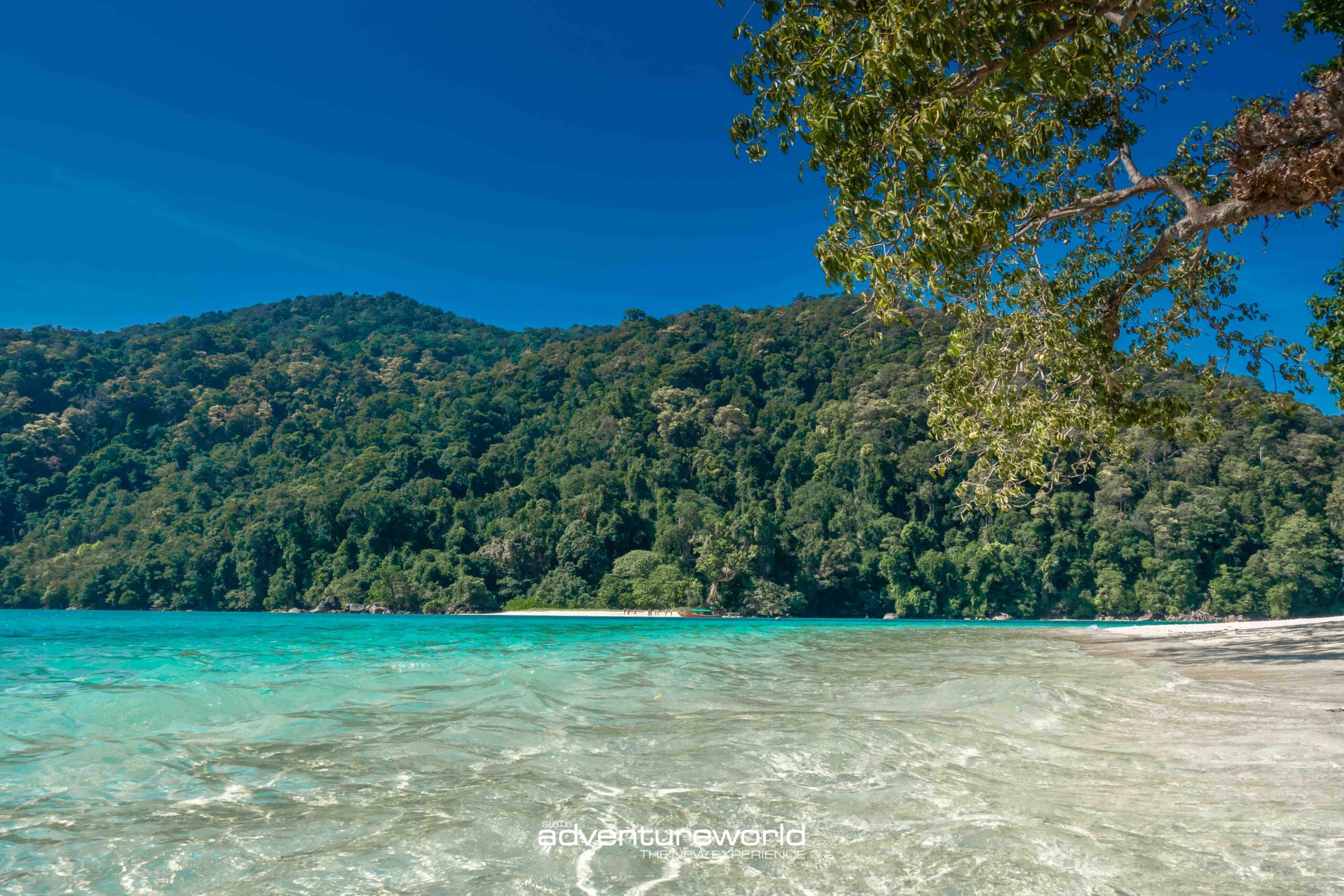 Surin Islands Private Tour | Siam Adventure World