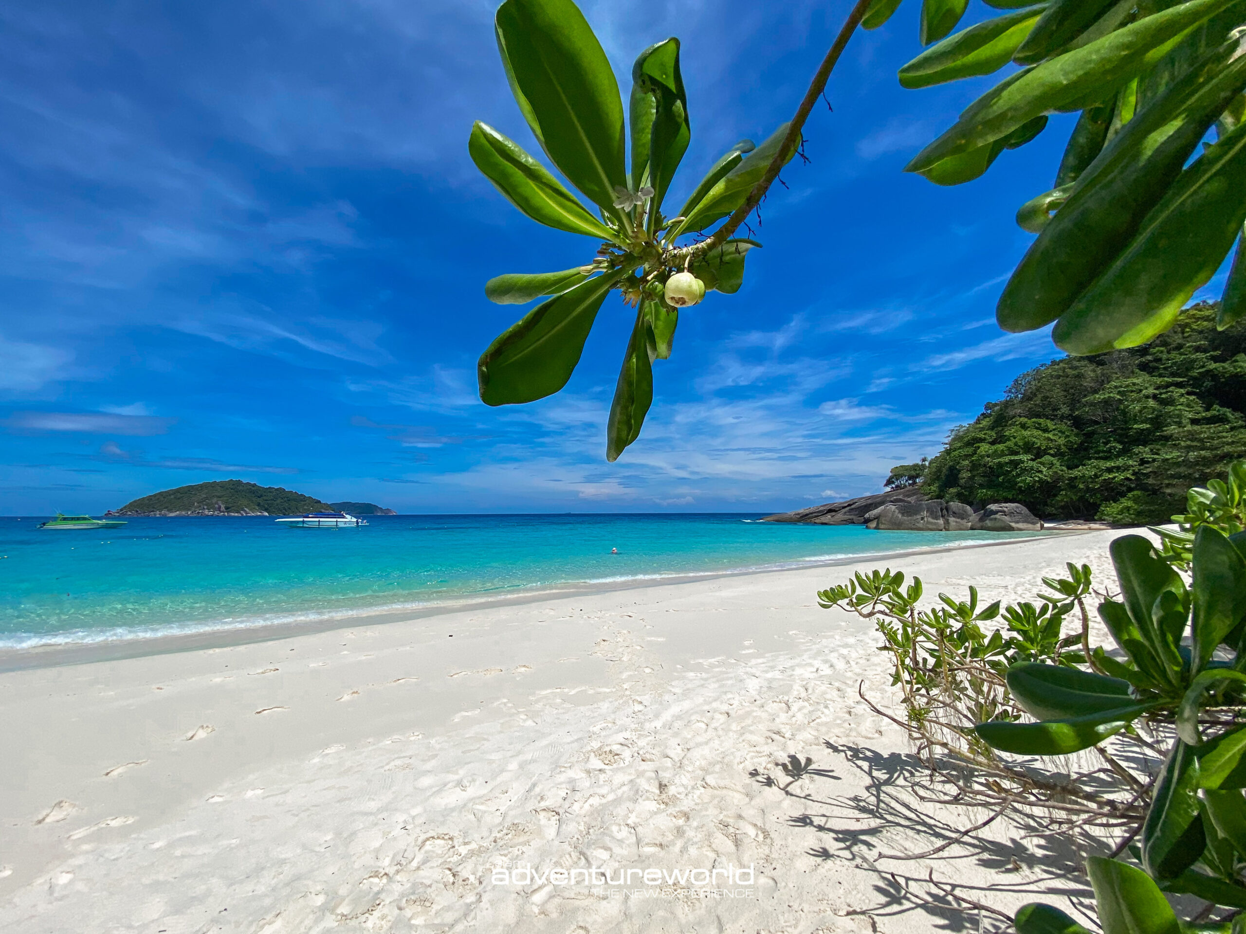 Similan Island Tour from Phuket | Siam Adventure World