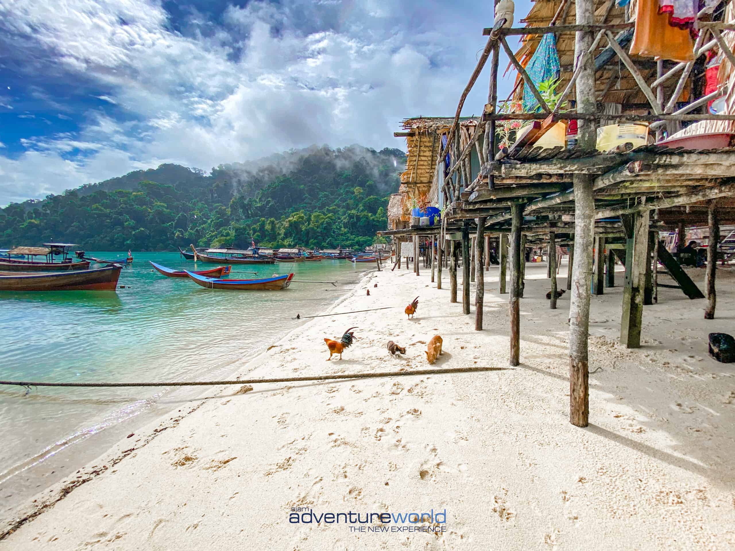 Surin Island Tour | Siam Adventure World
