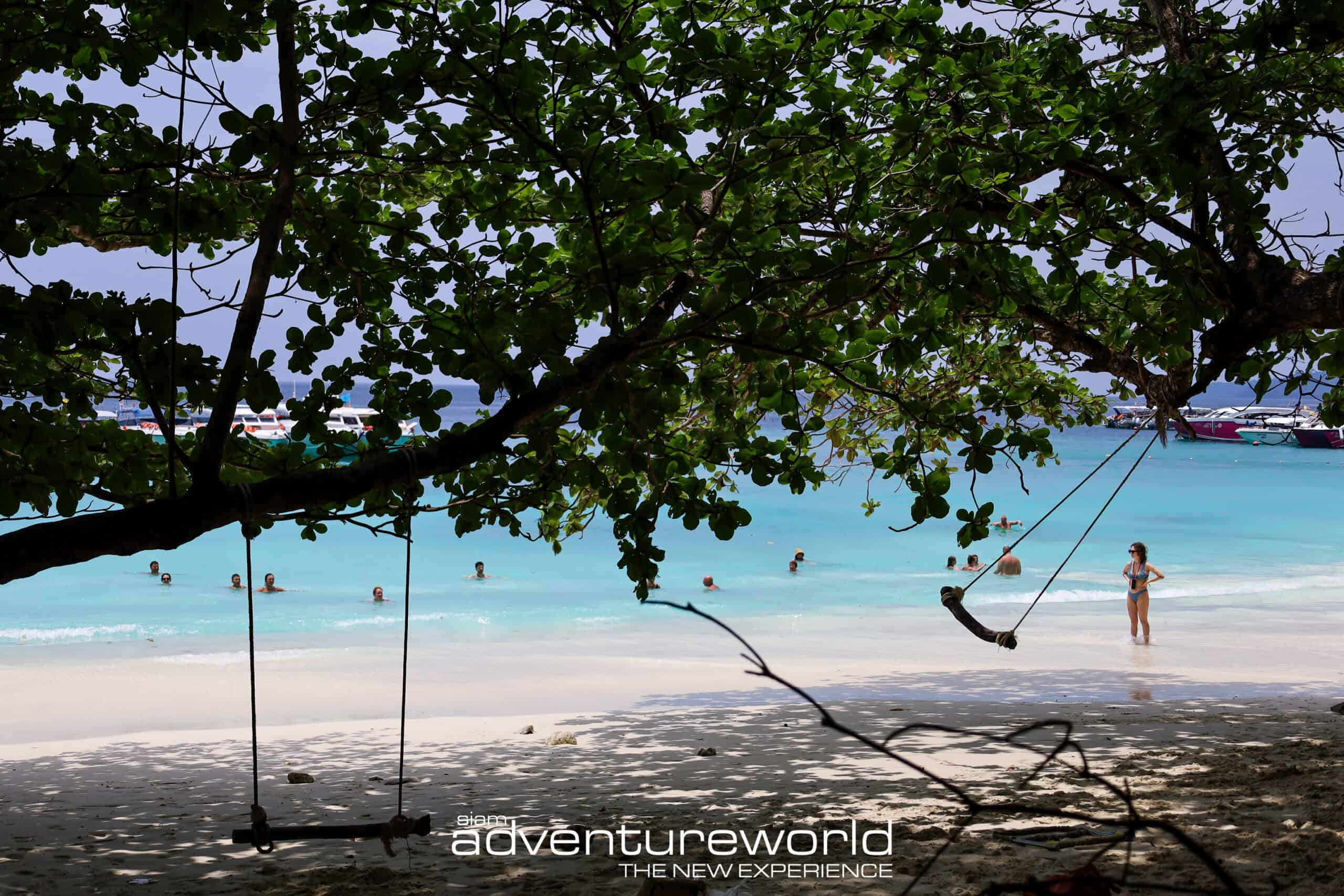 Exploring the Enchanting Similan Islands: A Dive into Pristine Beauty ...