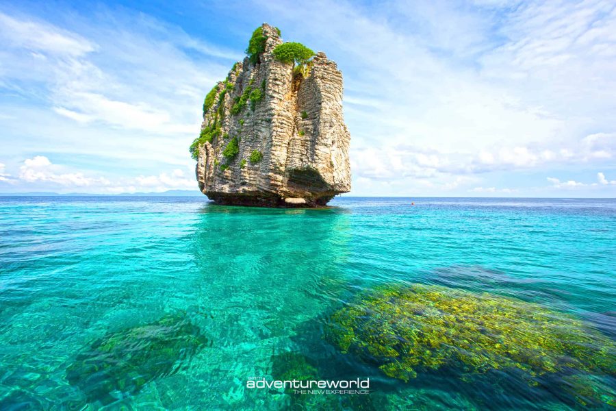 Koh Rok & Koh Haa Tour from Phuket | Siam Adventure World